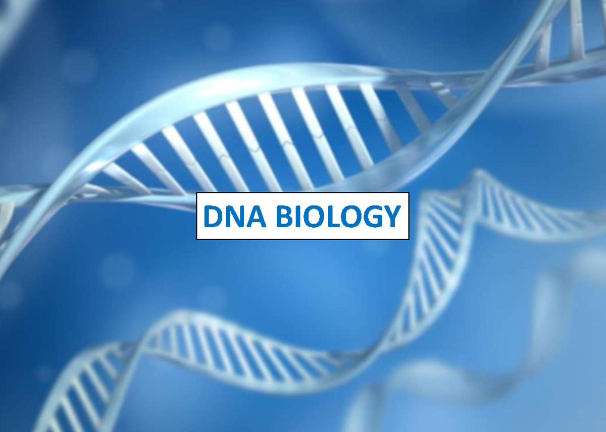 DNA Biology notes - DNA BIOLOGY What would be the complementary RNA ...