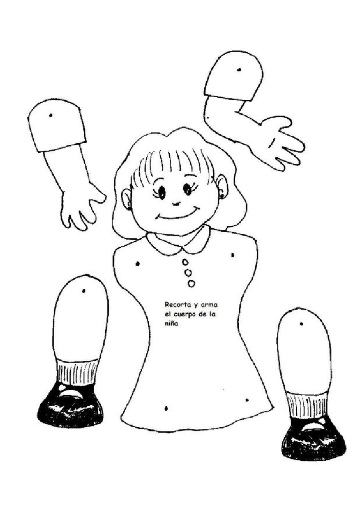 Rompecabezas Cuerpo Humano Niña Psicopedagogía Studocu