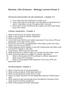 Module 2 Activities-F2F - Module 2 – Probability Some common examples ...