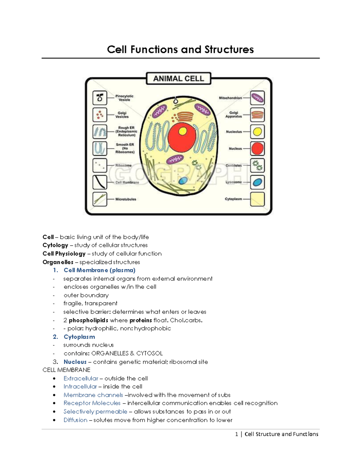Cell - notes about cells - 1 | Cell Structure and Functions Cell ...