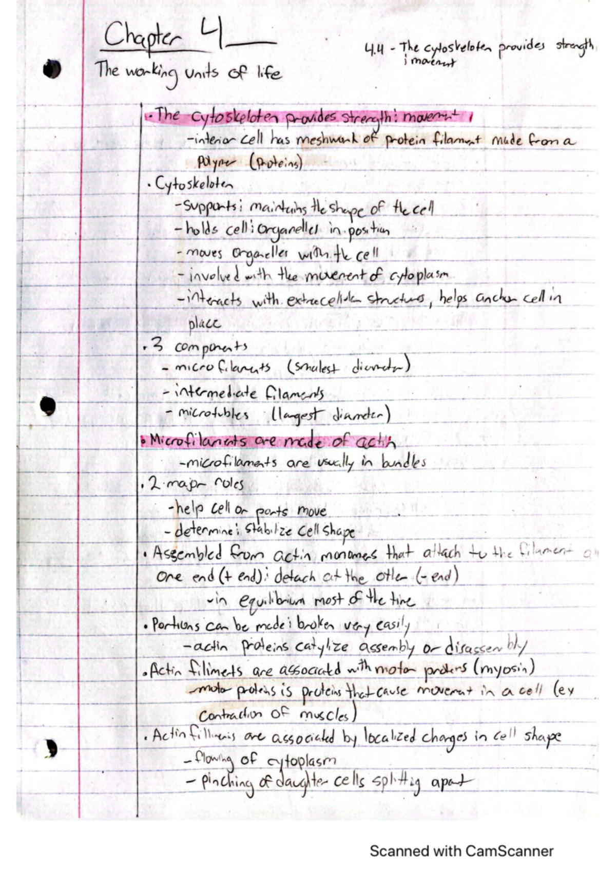 AP Bio Chapter 4 - Studocu