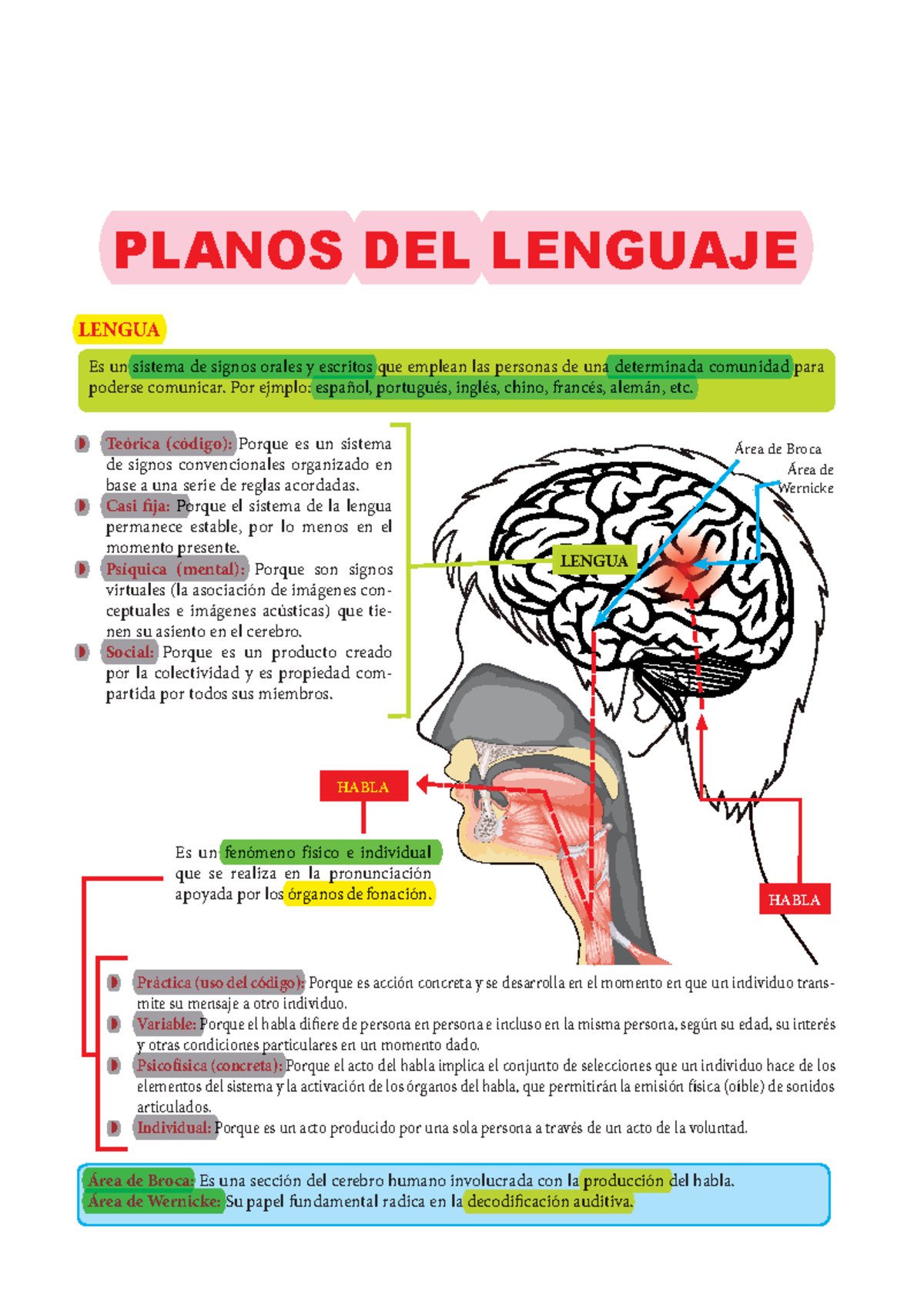 4.Planos-del-Lenguaje - clase - LENGUA HABLA HABLA Área de Broca Área ...