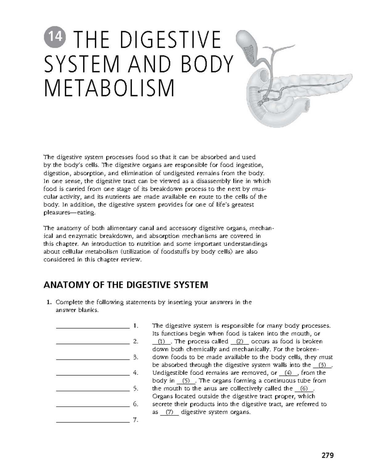 Digestive System Worksheet 1 - THE DIGESTIVE SYSTEM AND BODY METABOLISM ...