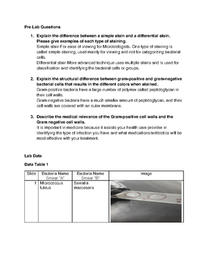 Aseptic Technique answer sheet - Aseptic Technique Answer sheet Pre ...