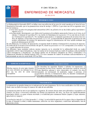 Iris-pocket-guide-es-es - La enfermedad renal crónica (ERC) se ...