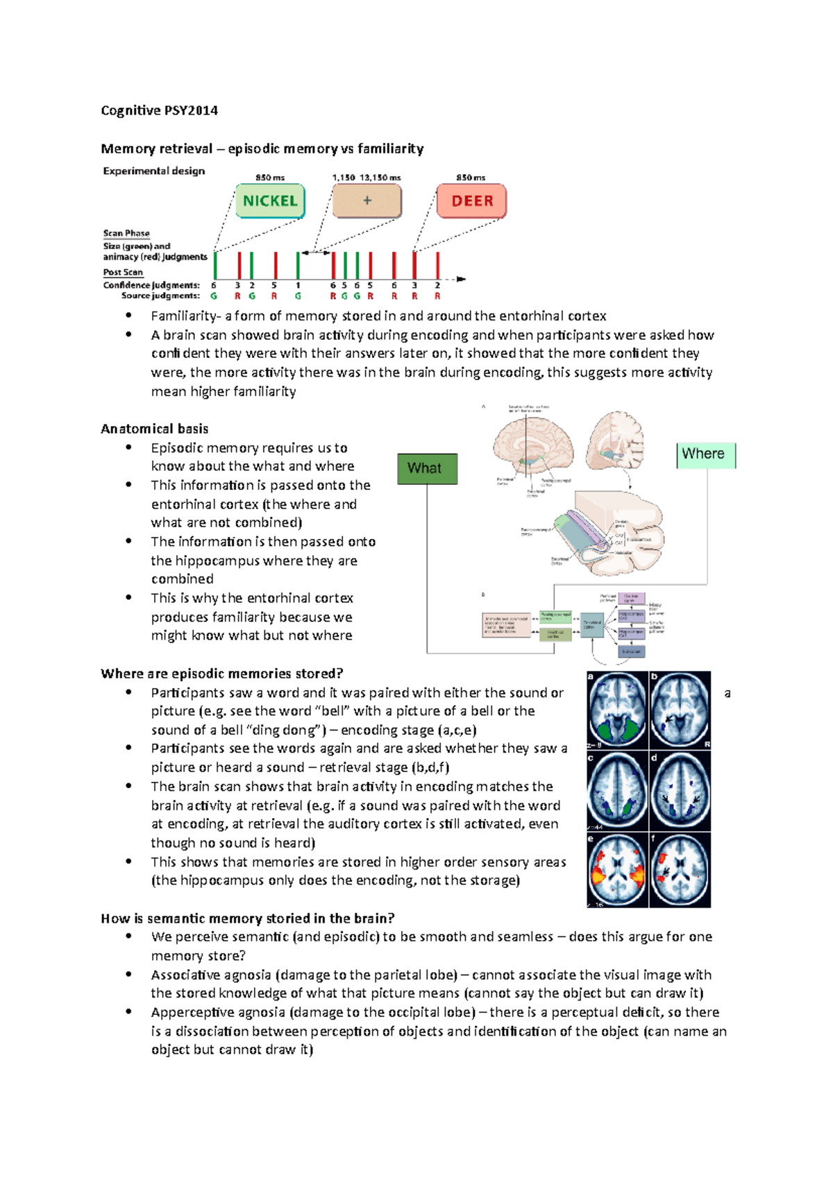 Lecture 3 Memory And Learning 2 Cognitive Psy Memory Retrieval