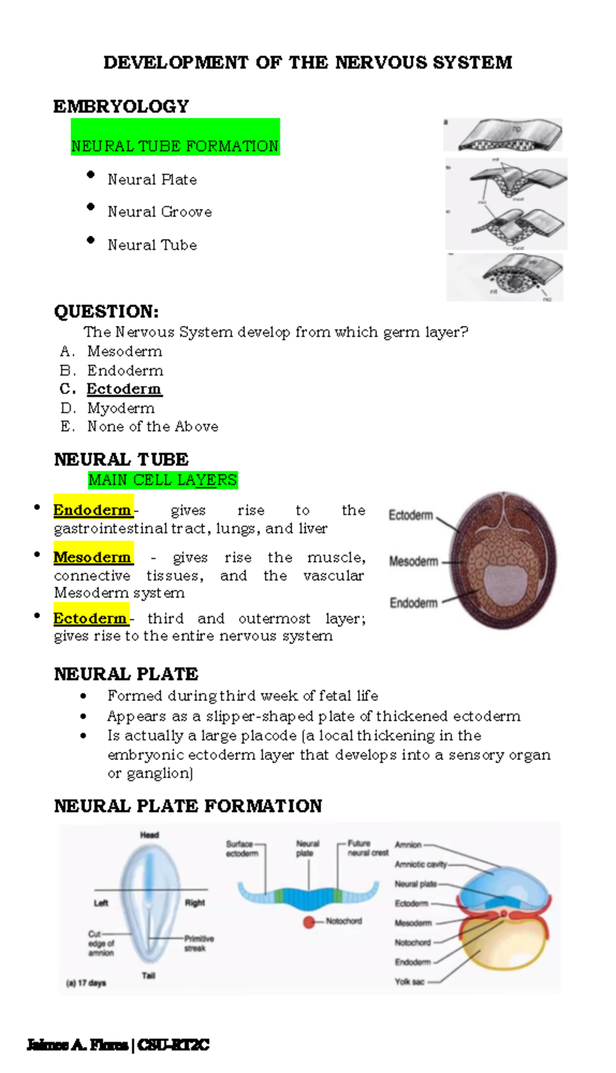 Neuro Lec 2 4 edited - ... - DEVELOPMENT OF THE NERVOUS SYSTEM ...