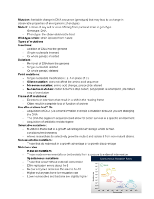 Contagion Movie Worksheet Fall 2018 - Film Study Worksheet: “Contagion ...