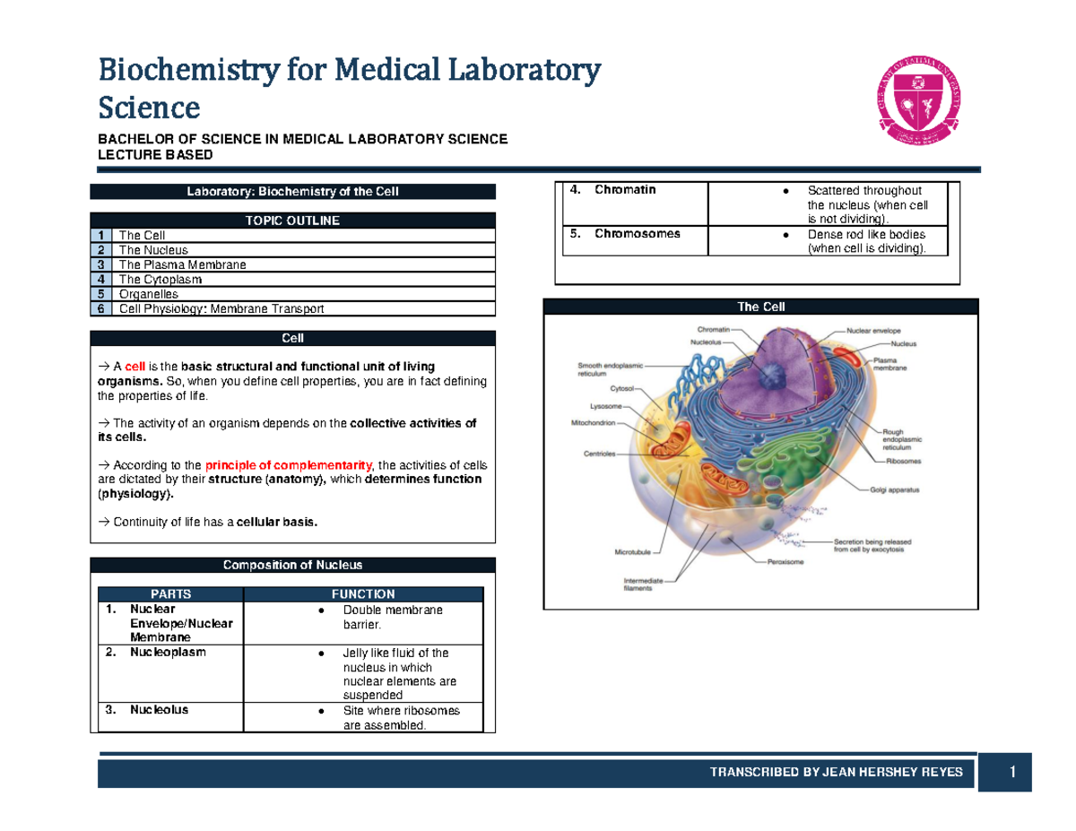 Laboratory Lesson 1 Biochemistry of the Cell - Science BACHELOR OF ...
