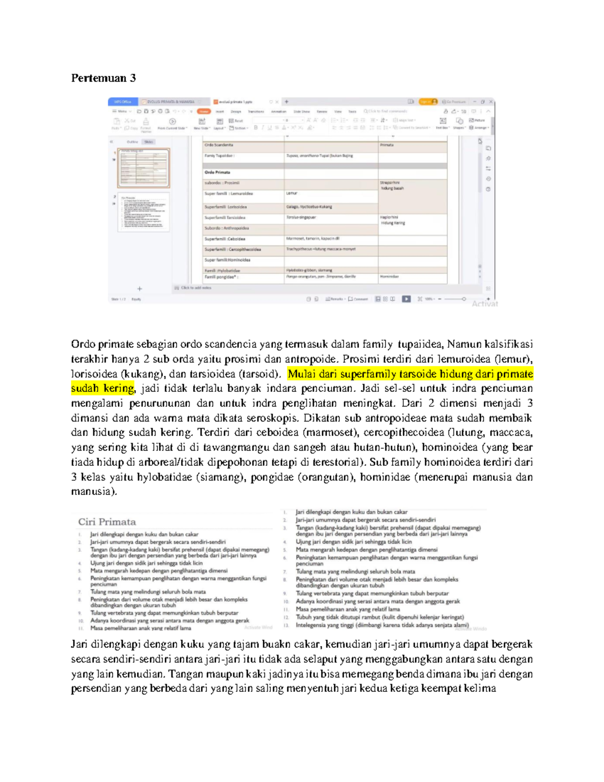 2. Ordo primate - Pertemuan 3 Ordo primate sebagian ordo scandencia ...