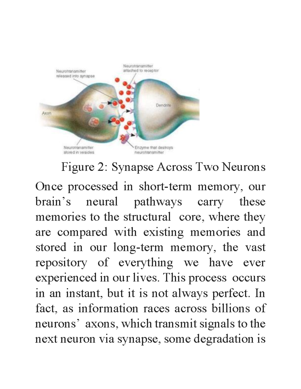 UTS-16 - lecture notes in uts - Figure 2: Synapse Across Two Neurons ...