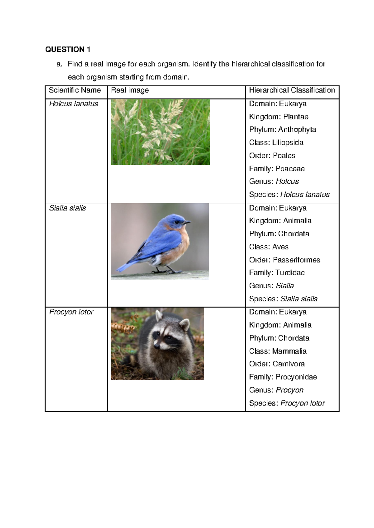 SB025 - QUESTION 1 a. Find a real image for each organism. Identify the ...