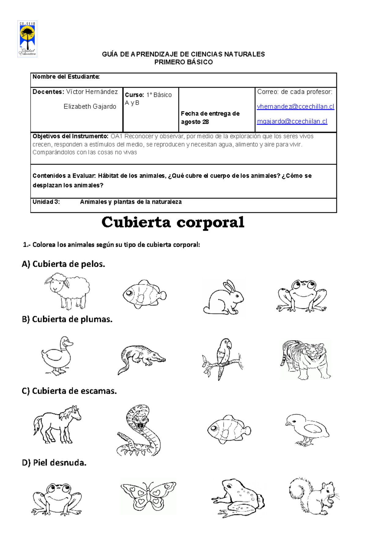 Guia de cubierta de los animales - GUÍA DE APRENDIZAJE DE CIENCIAS ...