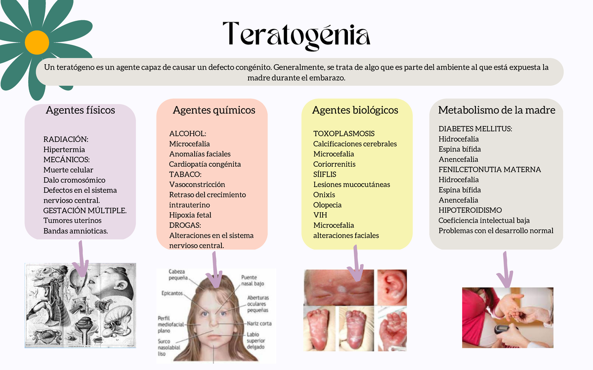 Teratogénia - Agentes teratógenos - Teratogénia Un teratógeno es un ... Teratogénia - Agentes teratógenos - Teratogénia Un teratógeno es un ...