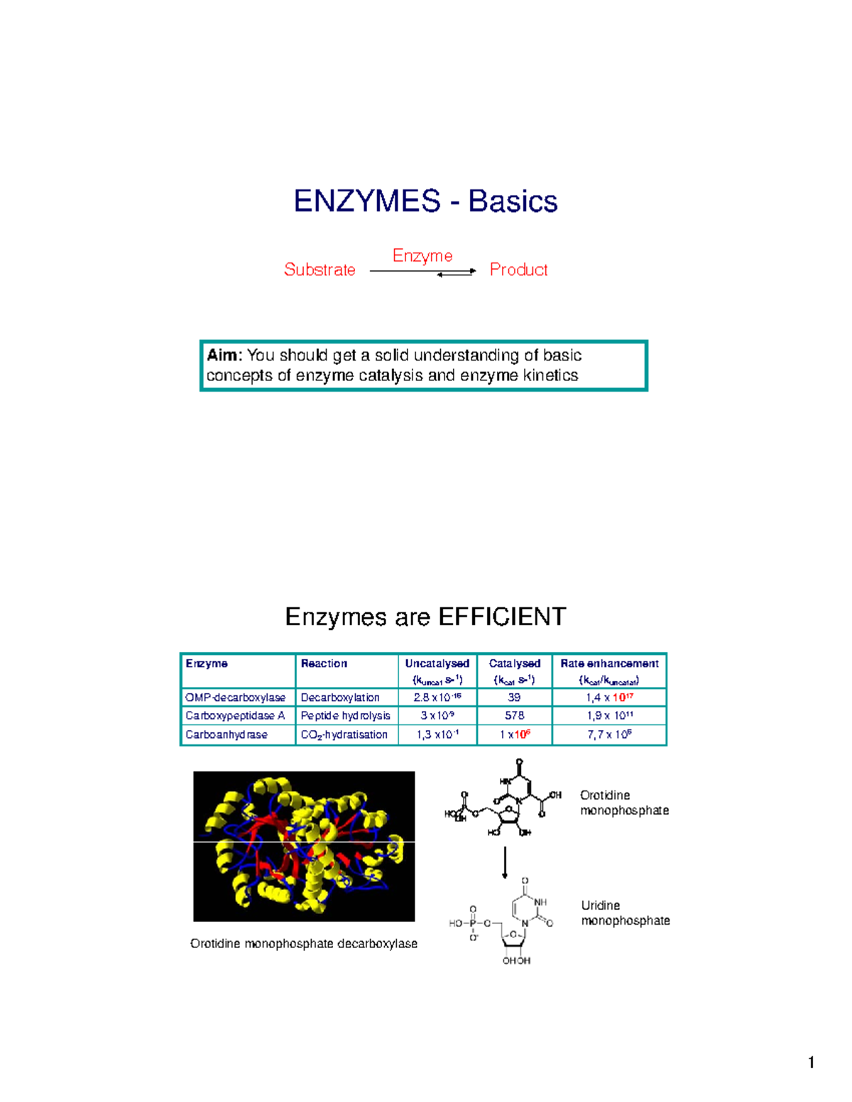 Summary Enzymes basics - ENZYMES - Basics Enzyme Substrate Product ...