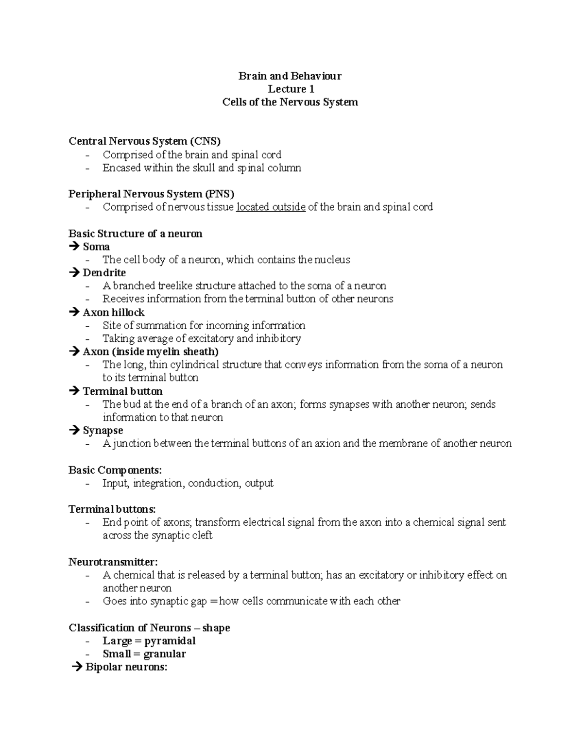 Brain And Behaviour Lecture 1 Brain And Behaviour Lecture 1 Cells Of The Nervous System