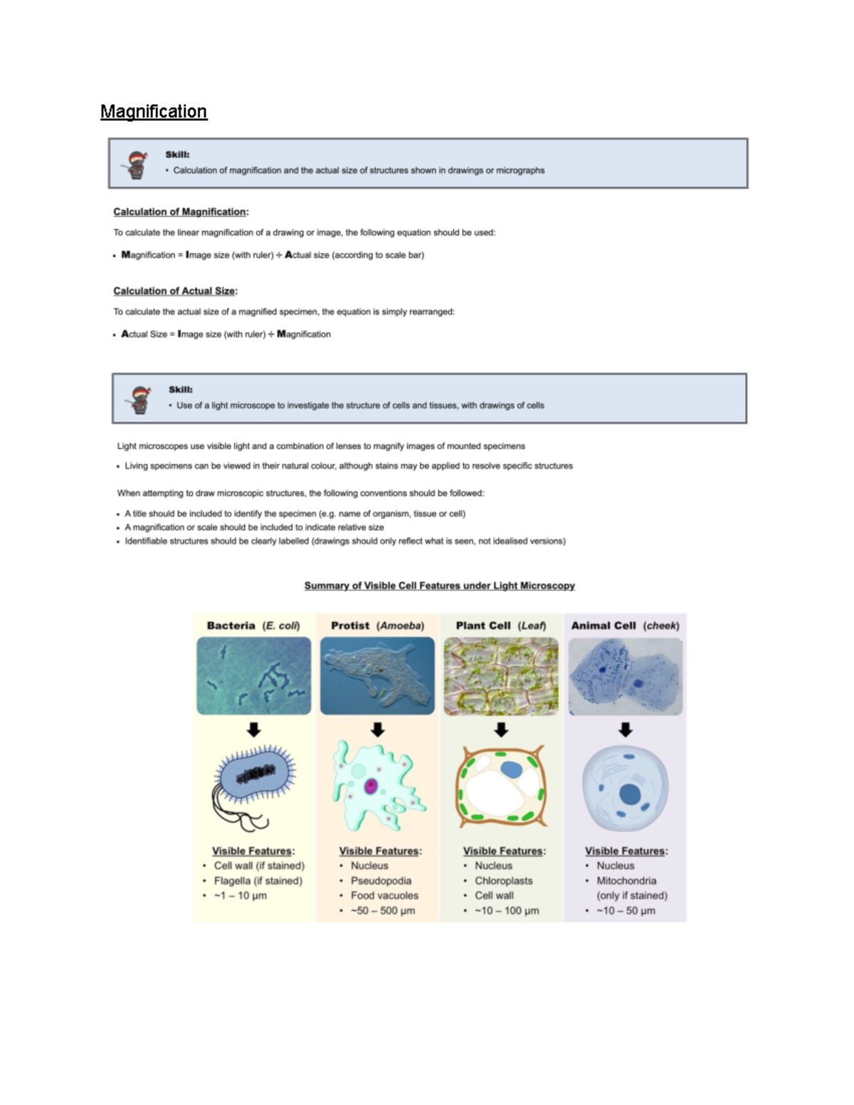 Cell Biology: Cell Introduction - Magnification - BIS 2A ...