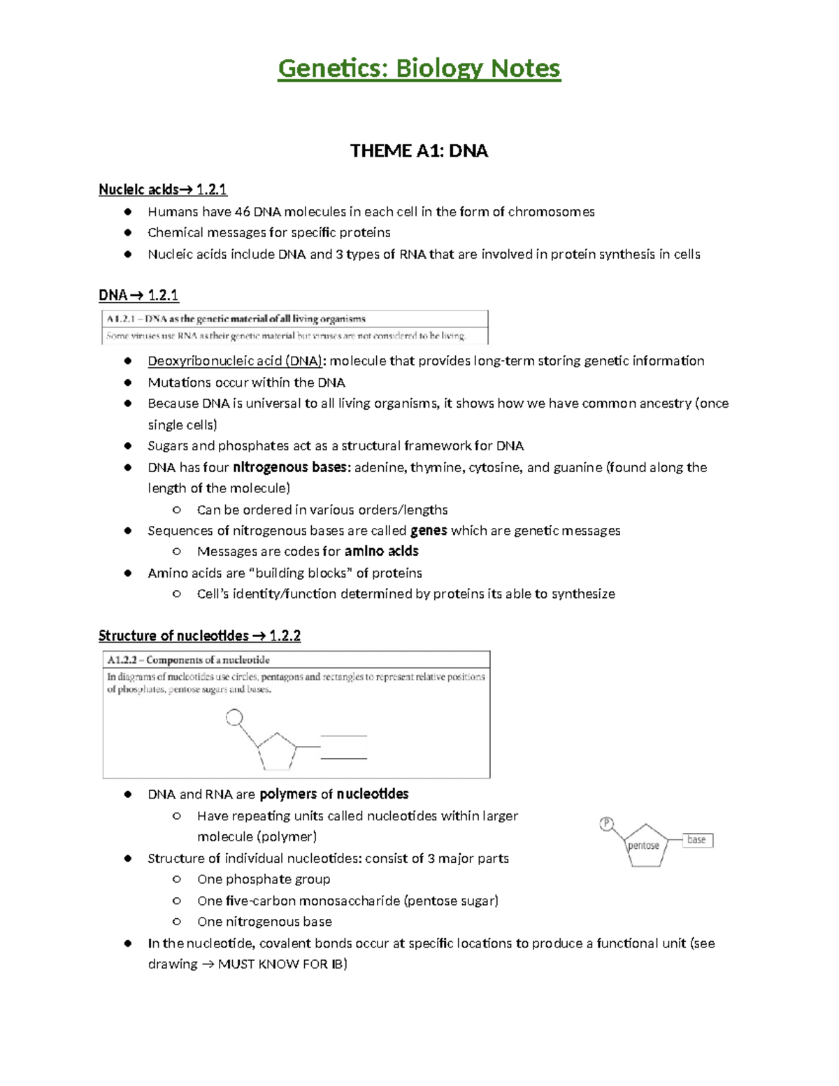 Test Genetics 1.32.30 AM - Genetics: Biology Notes THEME A1: DNA ...
