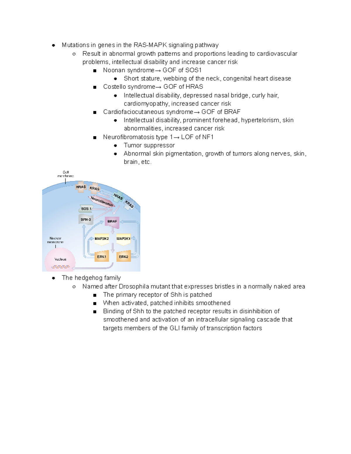 Med Gen Powerpoint 8 Developmental Genetics Part 4 - Mutations in genes ...