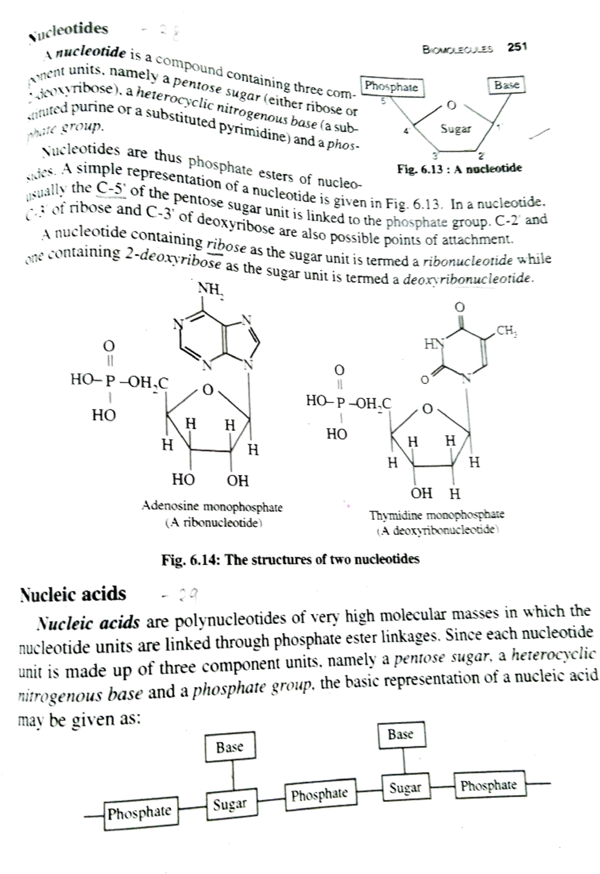 DNA and RNA - , H,-Ieotides _ Jr .\ nuclt?otide is ·. _ a c 0111 &CM ...