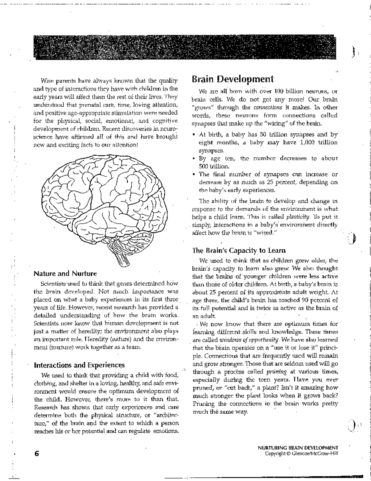 Brain basics - i dont know - Studocu