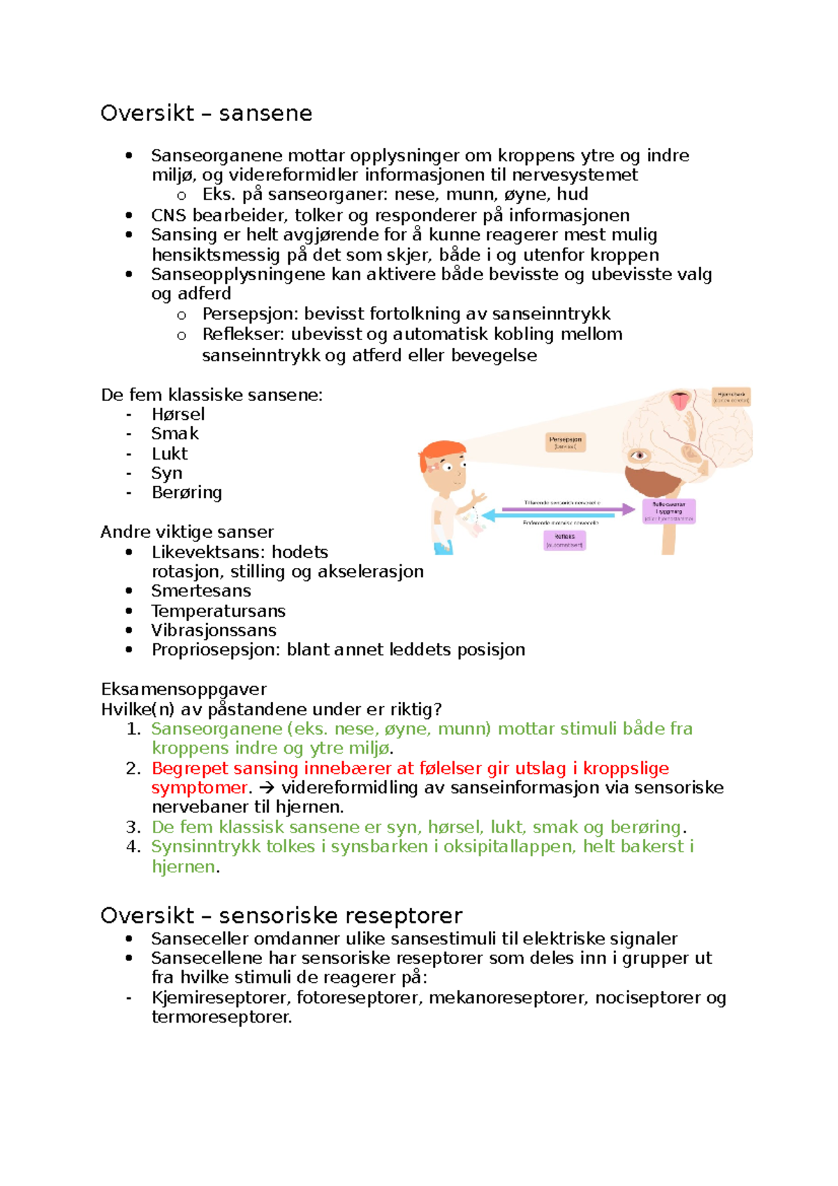 Medeasy - Sansene - Oversikt – sansene Sanseorganene mottar ...