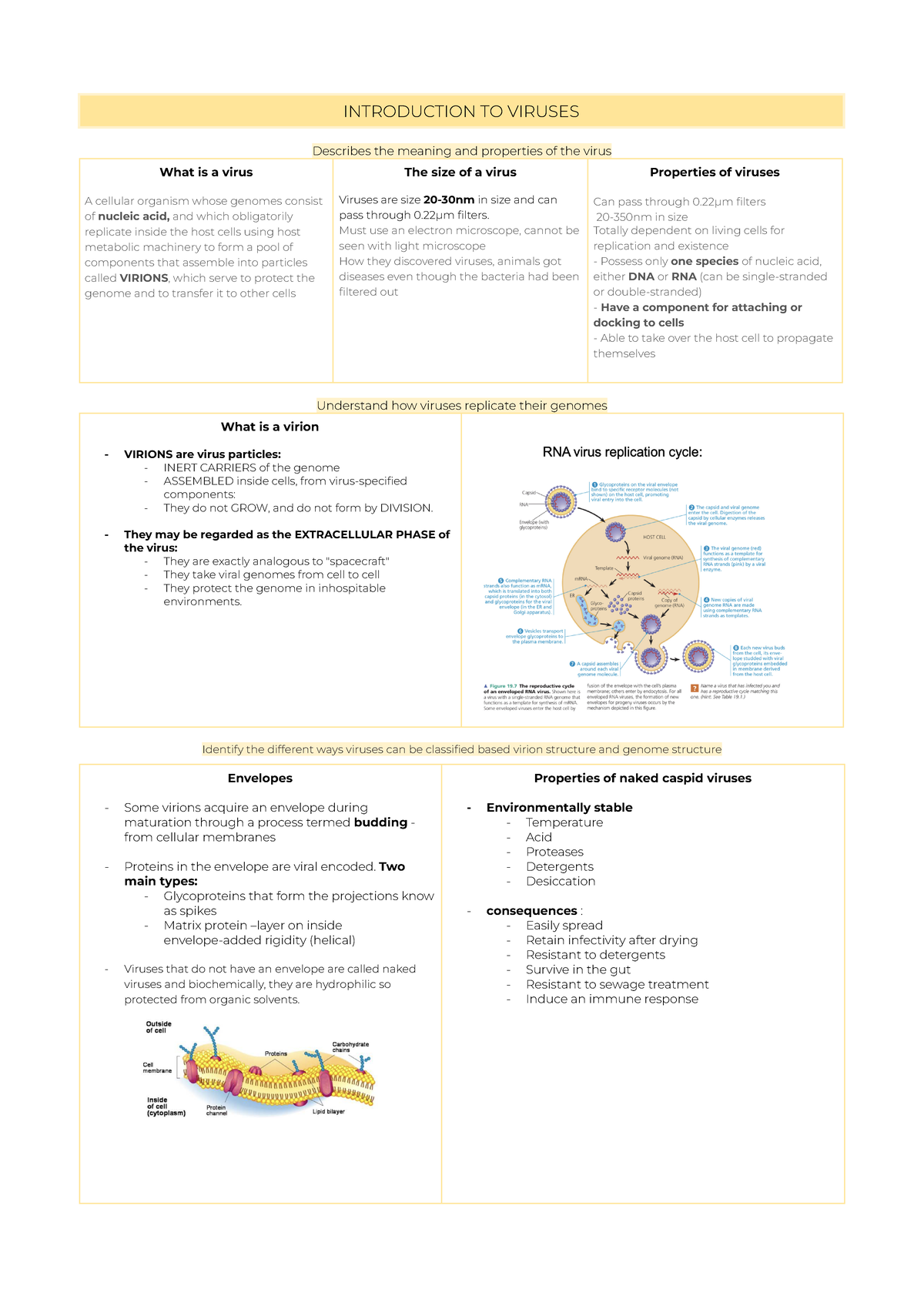 Week 8 Microbiology - INTRODUCTION TO VIRUSES Describes the meaning and ...