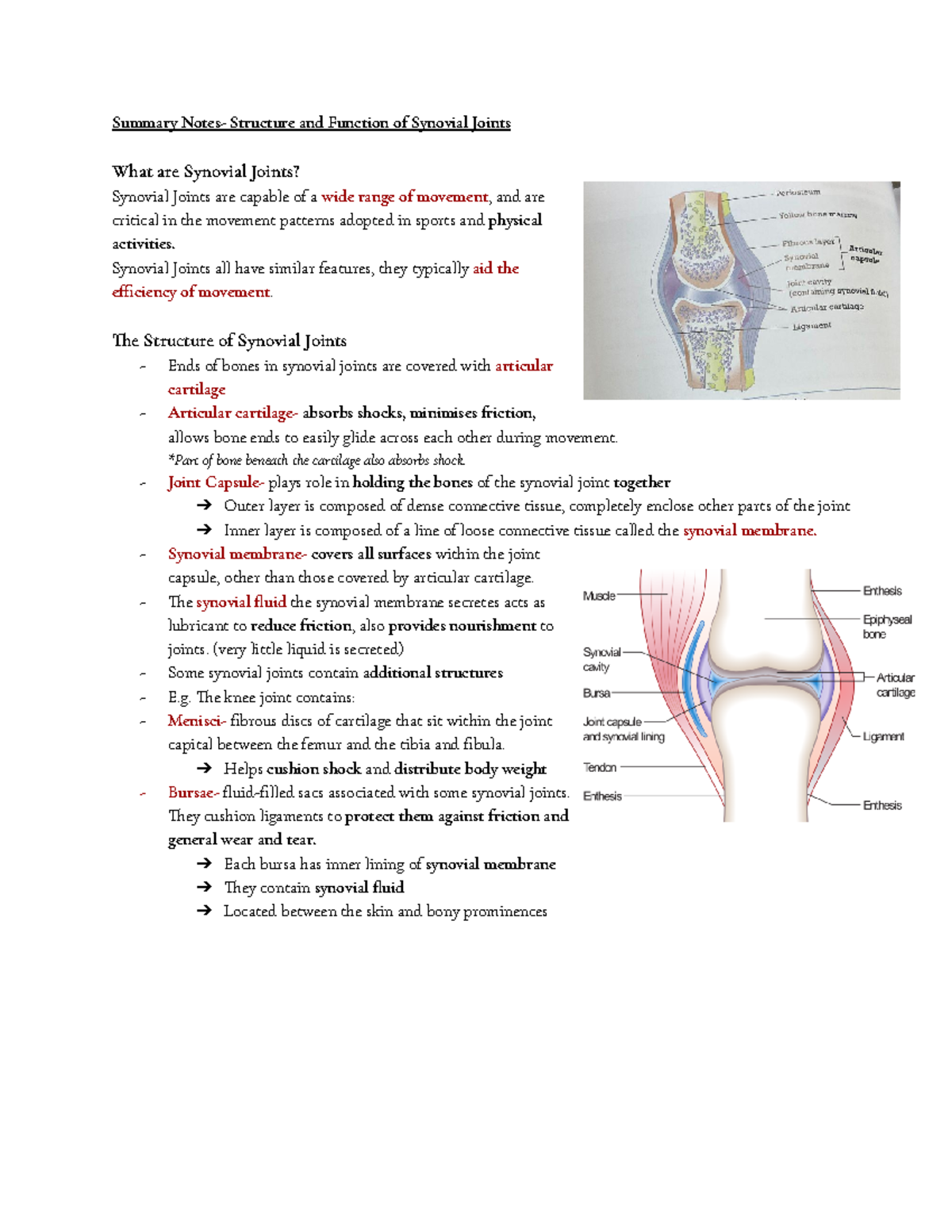 Summary Notes- Structure and Function of Synovial Joints - Synovial ...