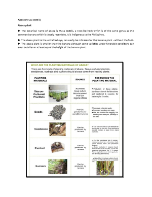 What are the Ibanag Culture? - RELIGIOUS BELIEFS The Ibanags believe in ...