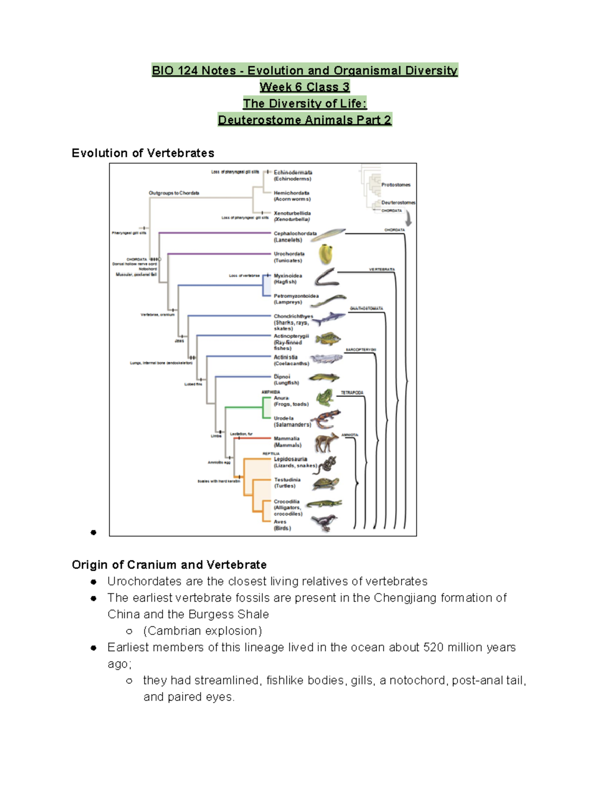 BIO 124 Week 6 Class 3 Notes - BIO 124 Notes - Evolution and Organismal ...