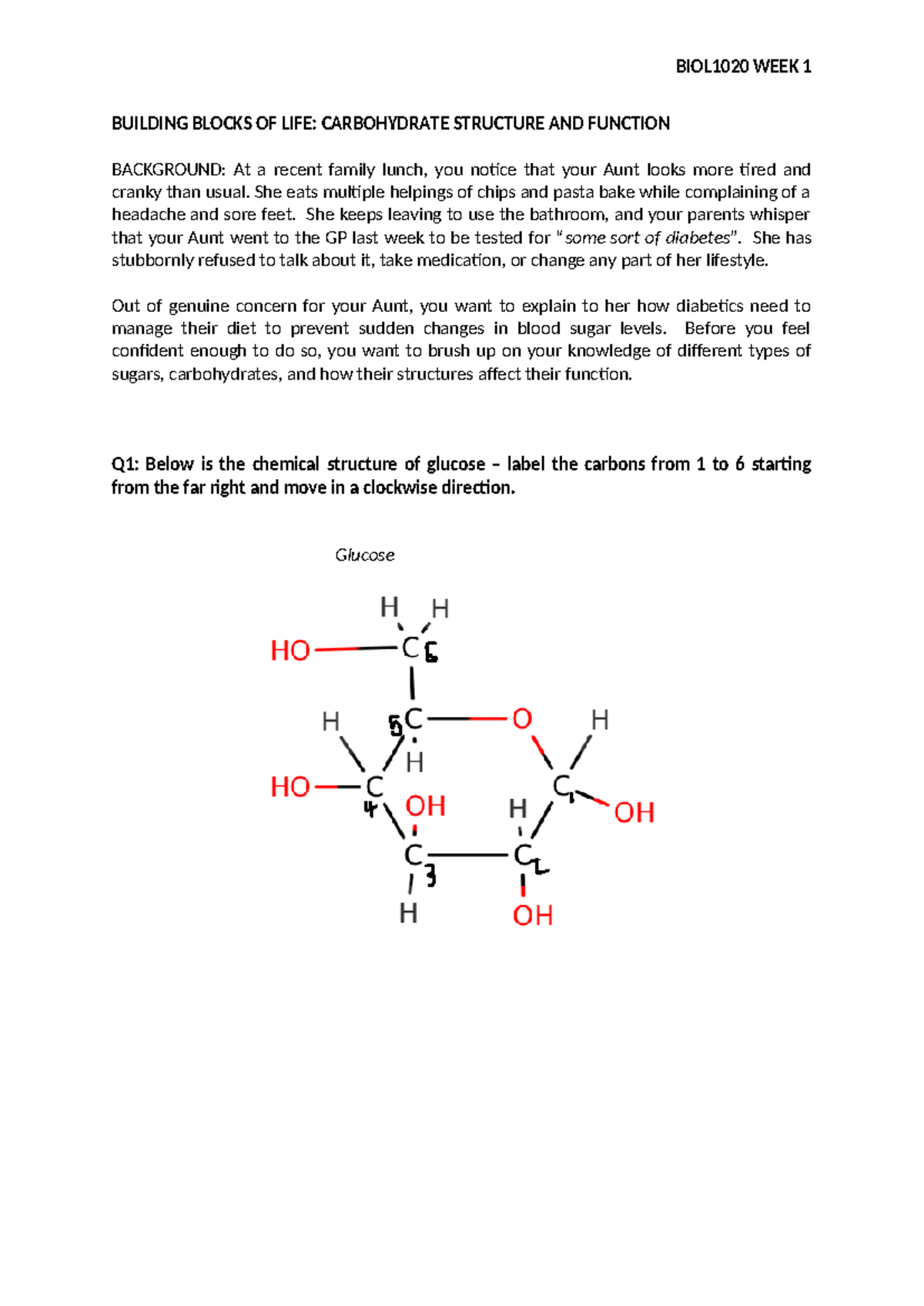 BIOL1020 week1-worksheet - BUILDING BLOCKS OF LIFE: CARBOHYDRATE ...
