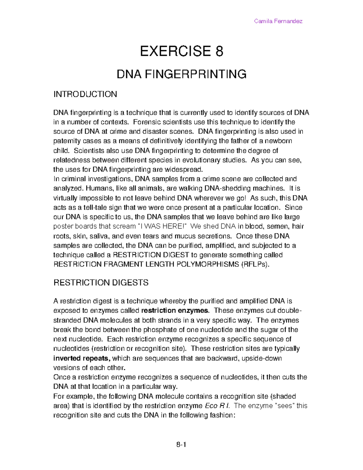 LAB 8 Finger Printing - lab work for biology - EXERCISE 8 DNA ...