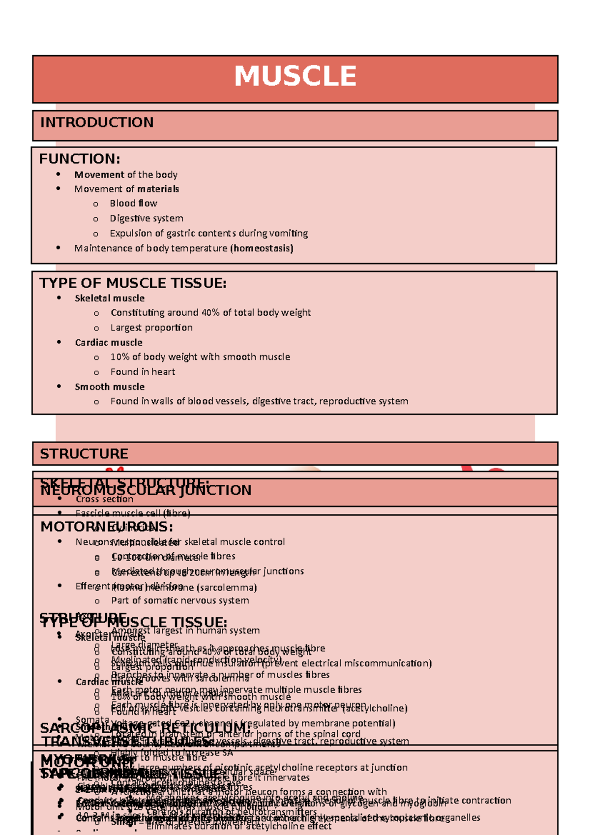 Week 8- muscle notes - TYPE OF MUSCLE TISSUE: Skeletal muscle o ...
