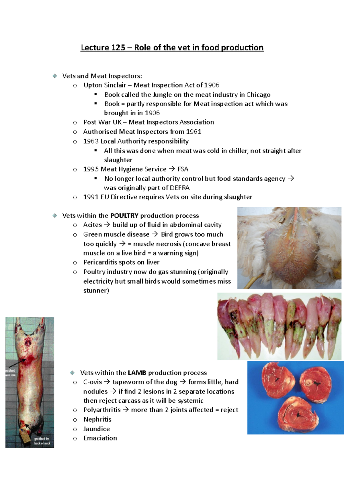 Lecture 125 – Role of the vet in food production - Lecture 125 – Role ...
