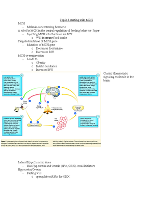 Physics Lab E2 Equipotential lines - February 19, 2020 TA: Xiaohan Yao ...