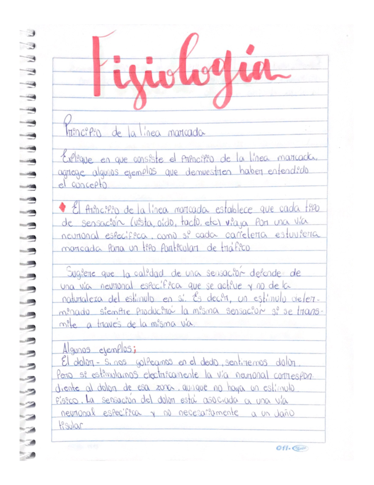 Principio de la Línea Marcada Jennifer Isabel Sosa Almonte 100615596 ...