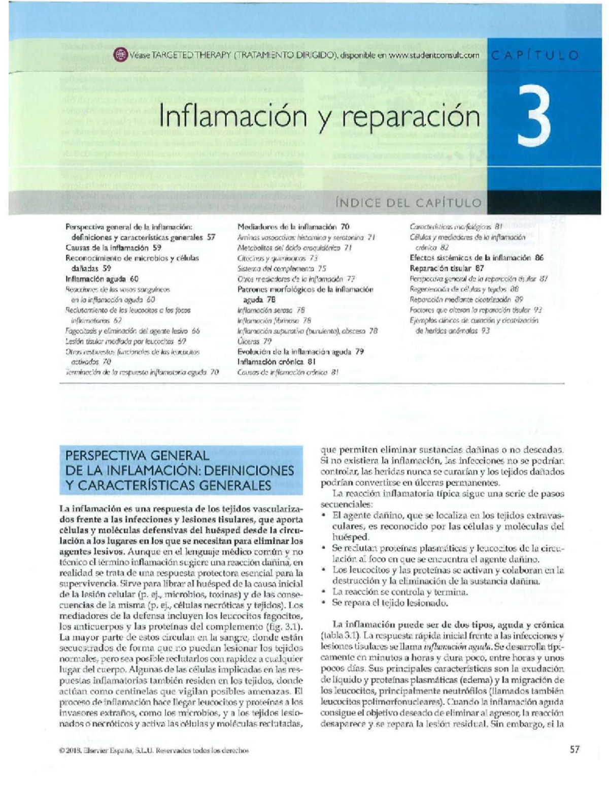Cap 3 - DOCUMENTO DEL CAPITULO 3 DE INFLAMACION Y REPARACION - @ véaseTARGETEDTHERAPY (TRATAMIEN ...