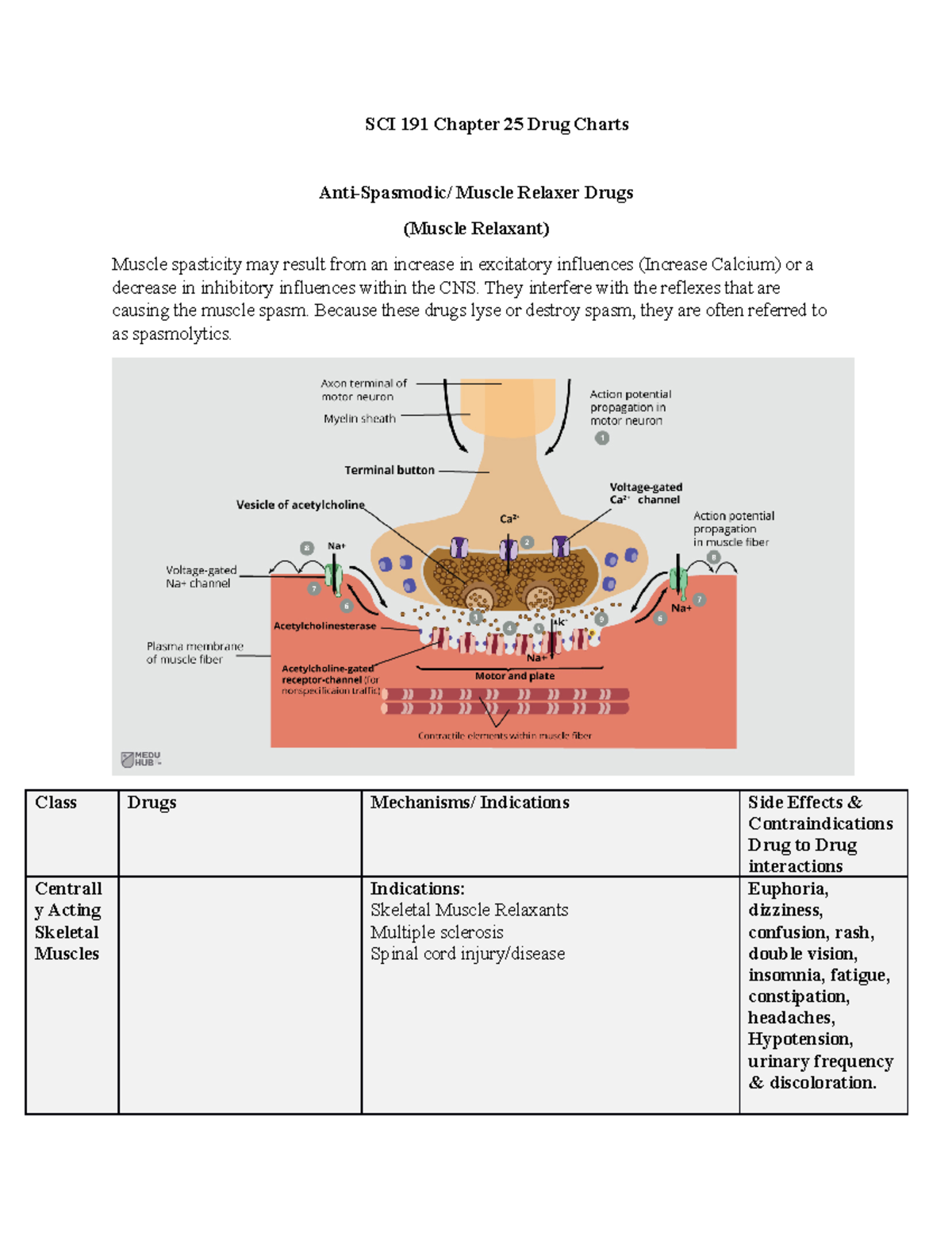 Chapter 25 ( Antispasmotic Drugs ) Answers - SCI 191 Chapter 25 Drug ...
