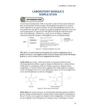 Laboratory 3 Gram Stain - LABORATORY MODULE 4 GRAM STAIN INTRODUCTION ...