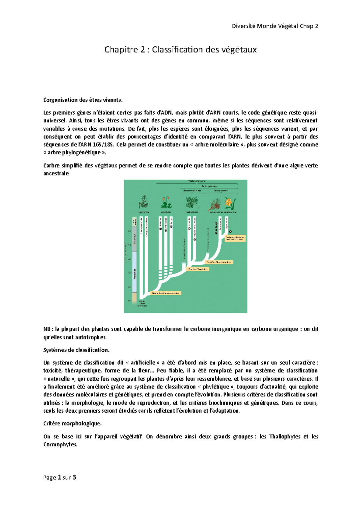 BV Chapitre 2 - Chap 2 bv - Diversité Monde Végétal Chap 2 Chapitre 2 ...