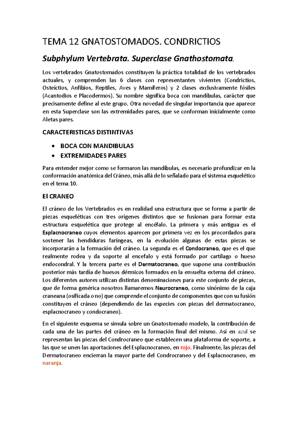TEMA 12 Gnatostomados. Clase Condrictios - TEMA 12 GNATOSTOMADOS ...