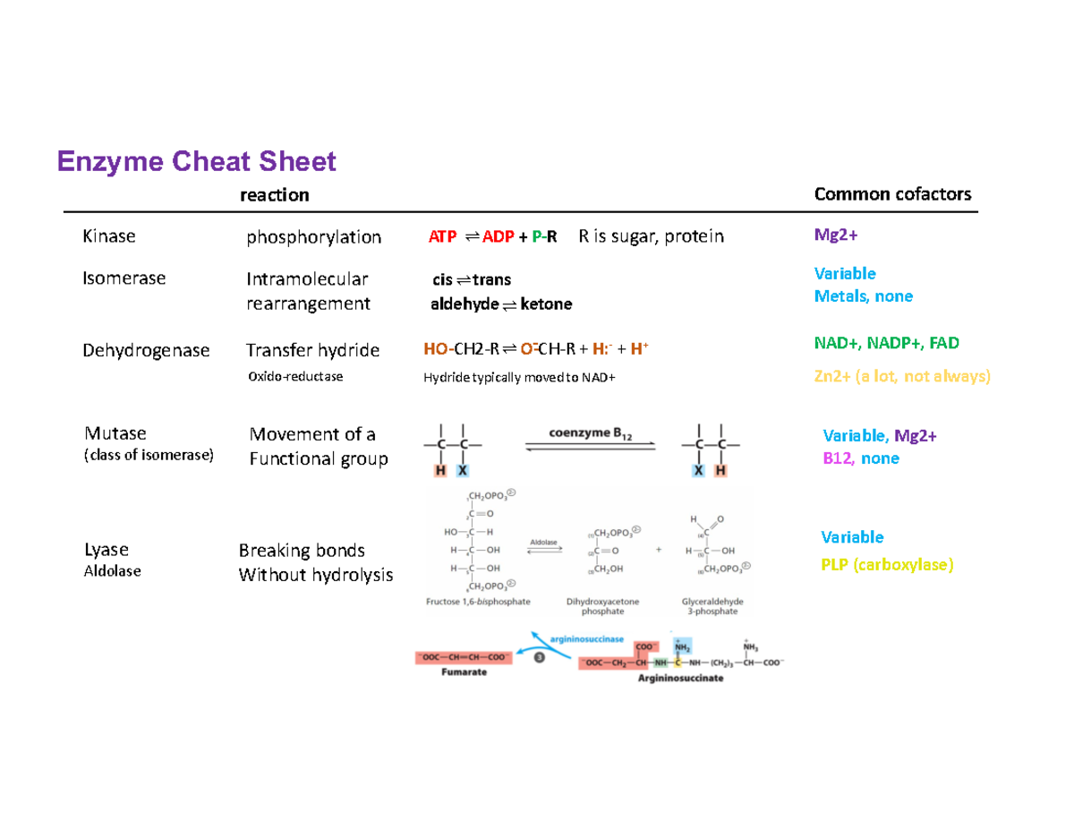 Enzyme Cheat Sheet 2020 Warning Tt Undefined Function 32 Warning Tt Undefined Function 