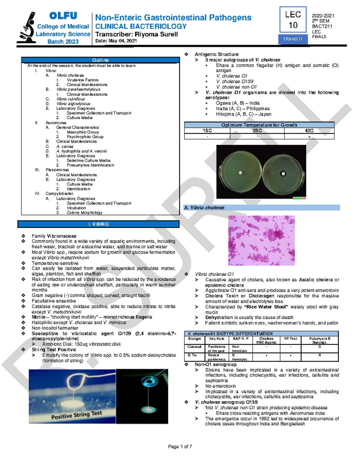 Bacteriology LEC 11 Trans - Non-Enteric Gastrointestinal Pathogens ...