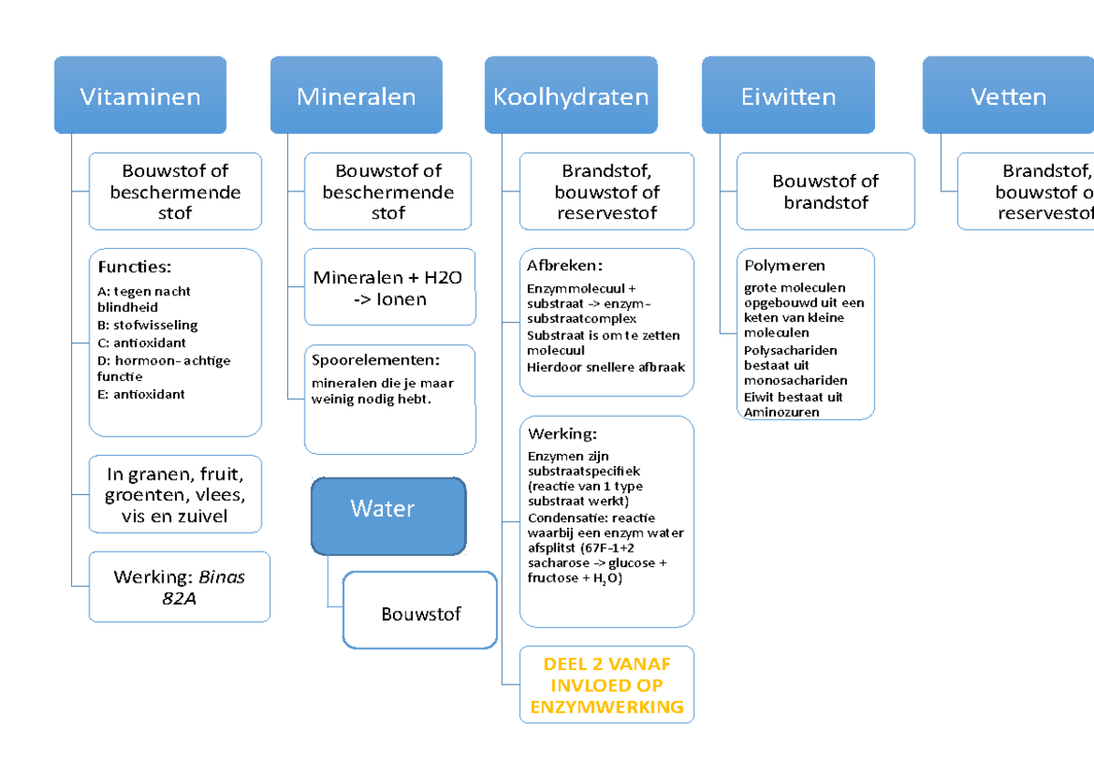 Hoofdstuk 11 - Schema vitaminen, mineralen, koolhydraten, vetten, water ...