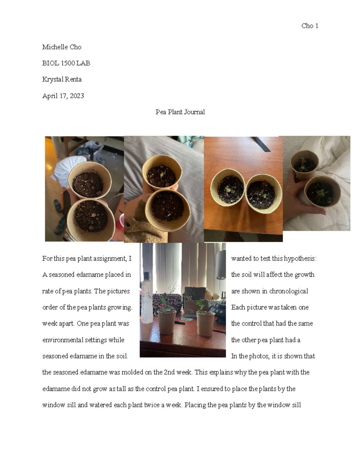 Pea Plant - Cho 1 Michelle Cho BIOL 1500 LAB Krystal Renta April 17 ...