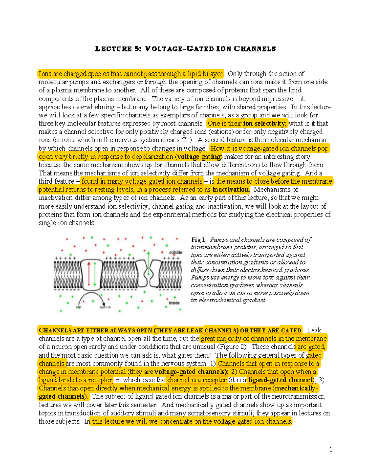 Lecture 05 Ion Channels - Warning: Popup annotation has a missing or ...