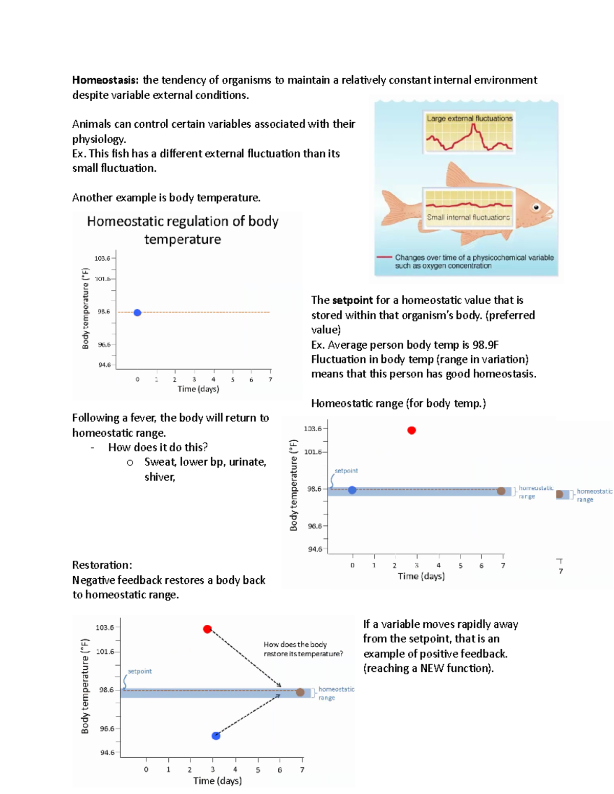BIO 370 Notes DAY 1 - Homeostasis: the tendency of organisms to ...