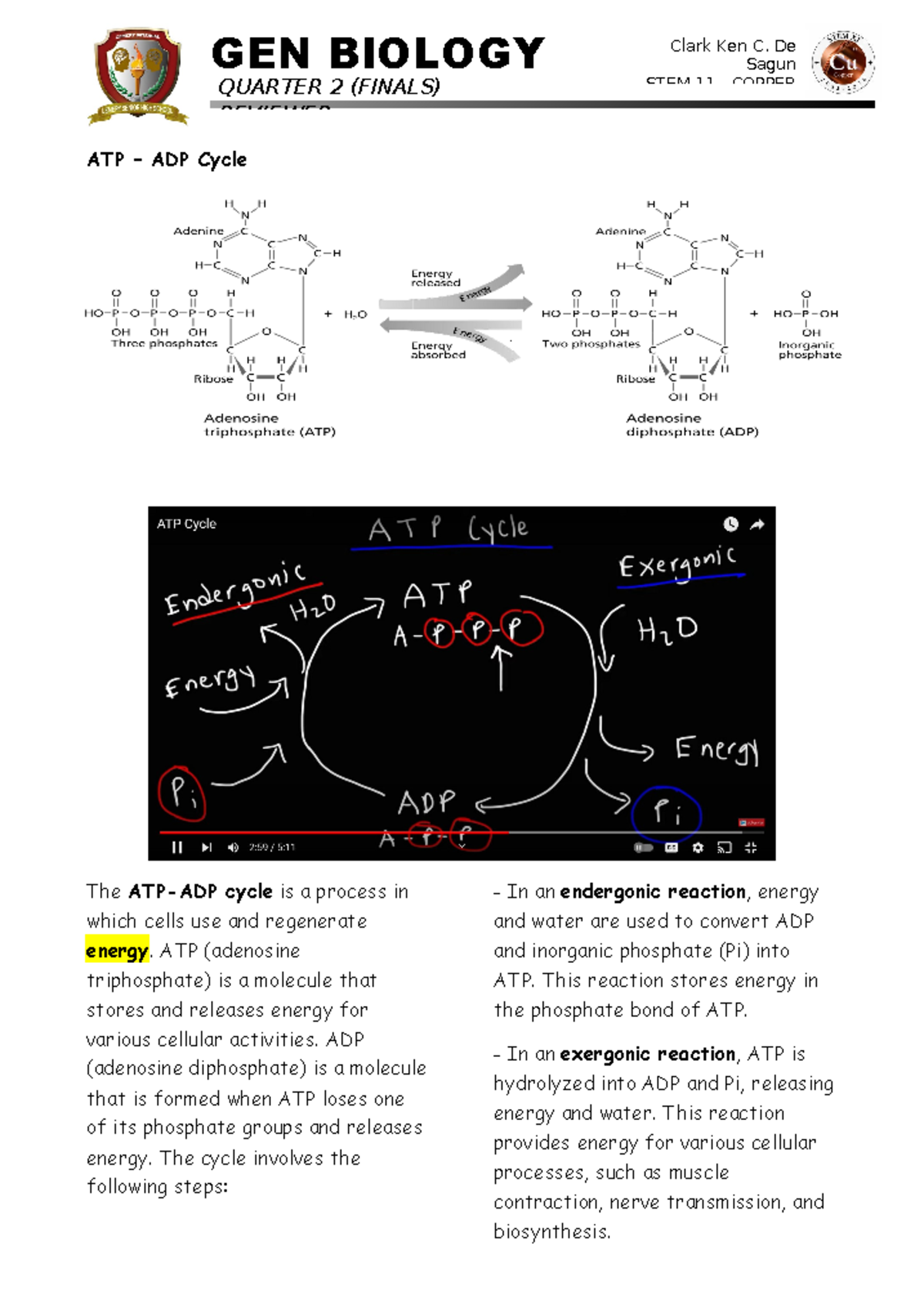 Gen Bio Finals - eererer - QUARTER 2 (FINALS) REVIEWER GEN BIOLOGY ...