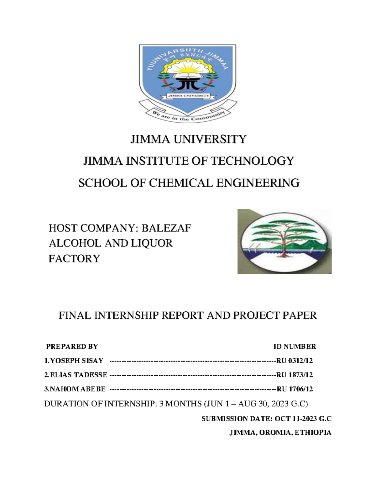 FULL Document Jimma - FINAL INTERNSHIP REPORT AND PROJECT PAPER ...