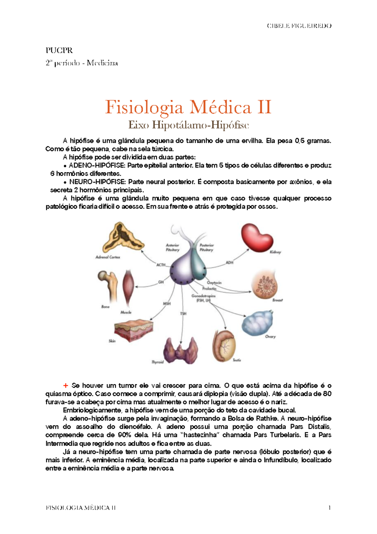 Fisiologia Médica II P1 - Cibele - Warning: Error during font loading: XMLHttpRequest is not ...